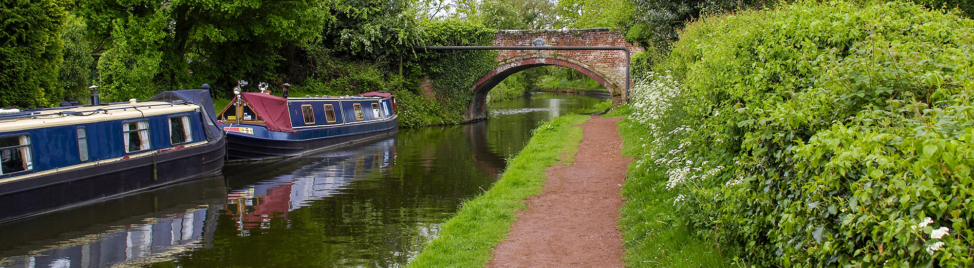 Residential park homes for sale and rent in Staffordshire