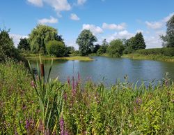 Cottenham Park - Residential Park Homes in Cambridgeshire, East England