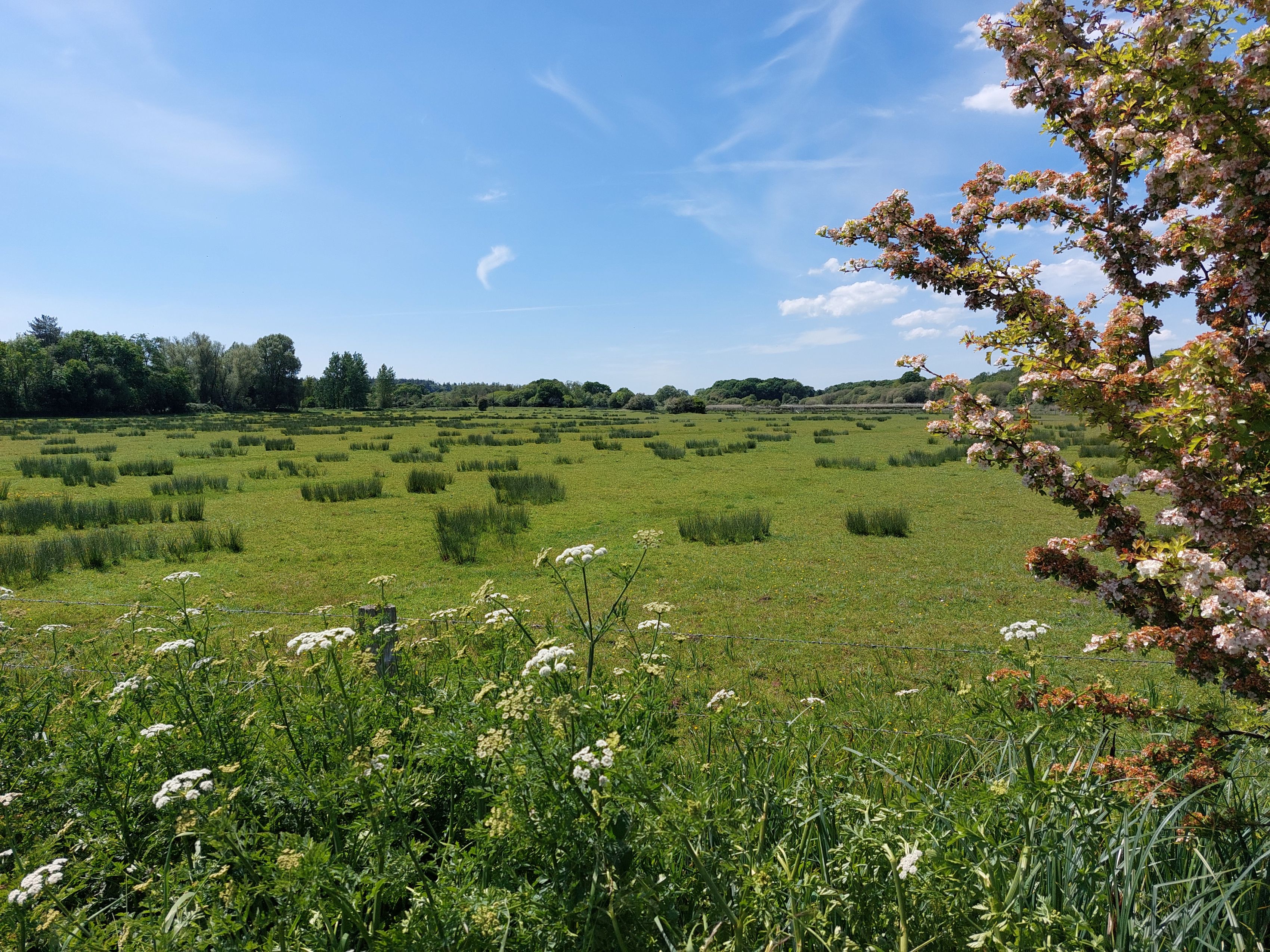 Manor Farm Court has residential park homes for sale in Dorset